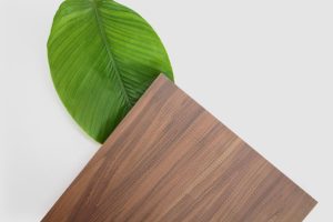 Micro Perforated Wood Acoustic Panels for Noise Reduction